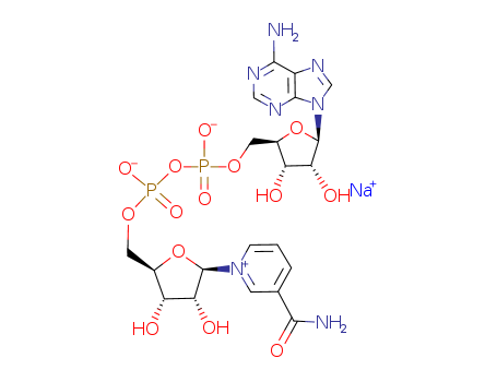 Cas 1184-16-3,BETA-NICOTINAMIDE ADENINE DINUCLEOTIDE PHOSPHATE SODIUM SALT | lookchem