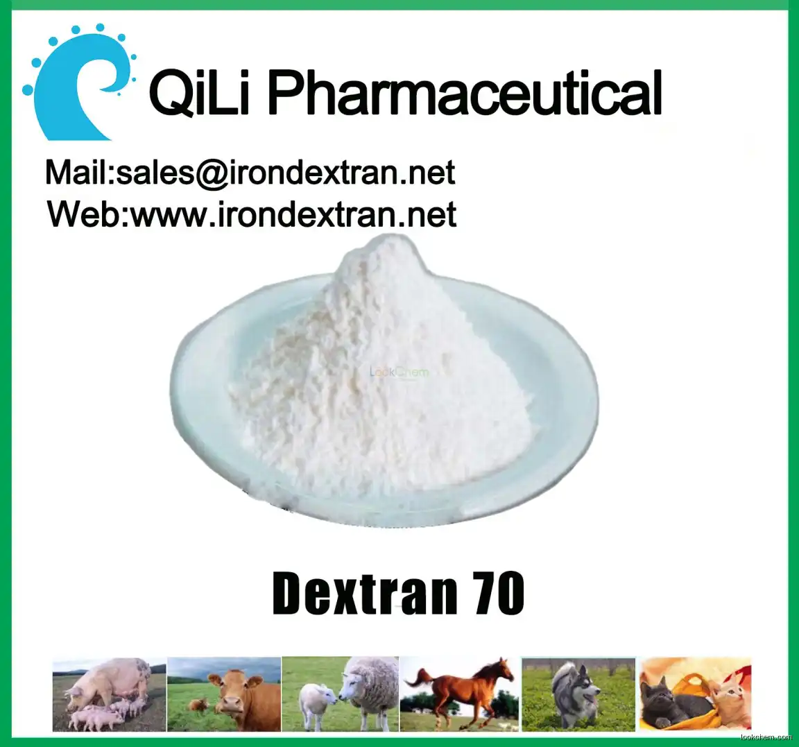 CAS No.9004-54-0,Dextran Suppliers