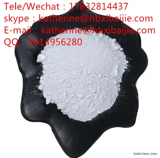 CAS No.13463-67-7,Titanium dioxide Suppliers,MSDS download