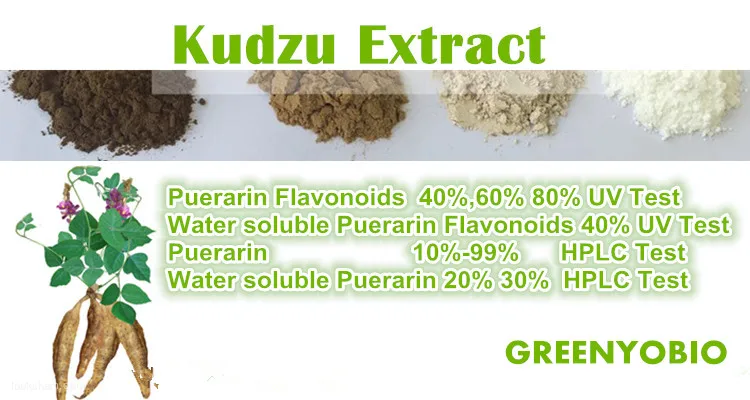 3681-99-0 Puerarin Puerarine Kudzu Root extract powder - 陕西绿佑生物科技有限公司
