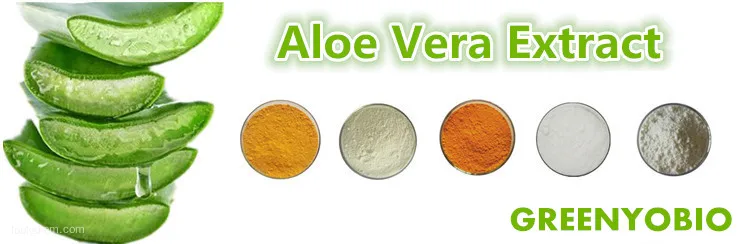 Aloe Extract Aloe-emodin 98% Aloe Emodin Powder - Shaanxi Greenyo ...